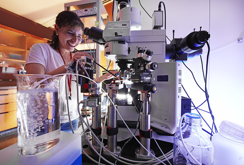 Scientist in a lab | Okinawa Institute of Science and Technology OIST