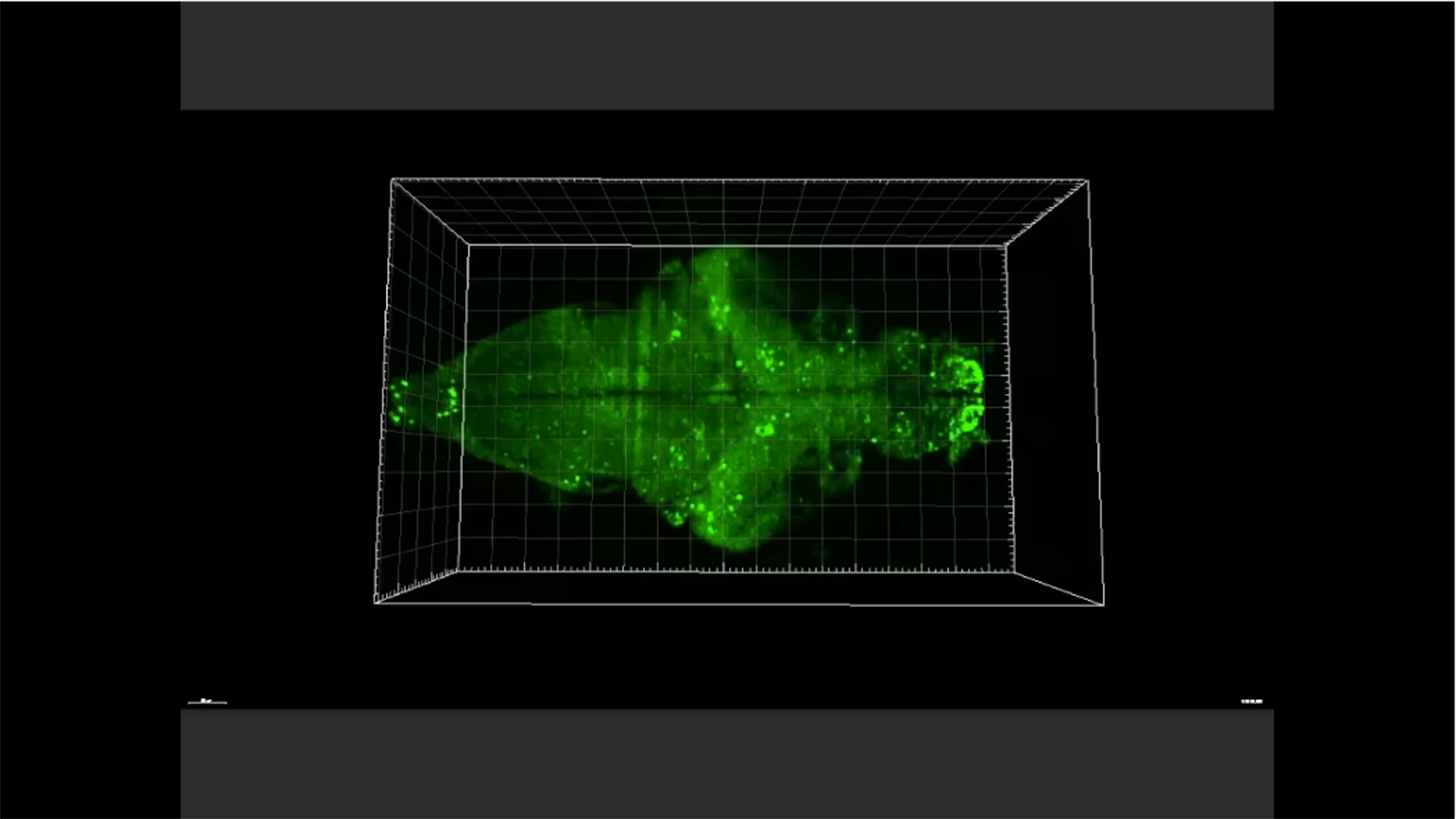 Biological Nonlinear Dynamics Data Science Unit | Okinawa Institute of Science and Technology OIST