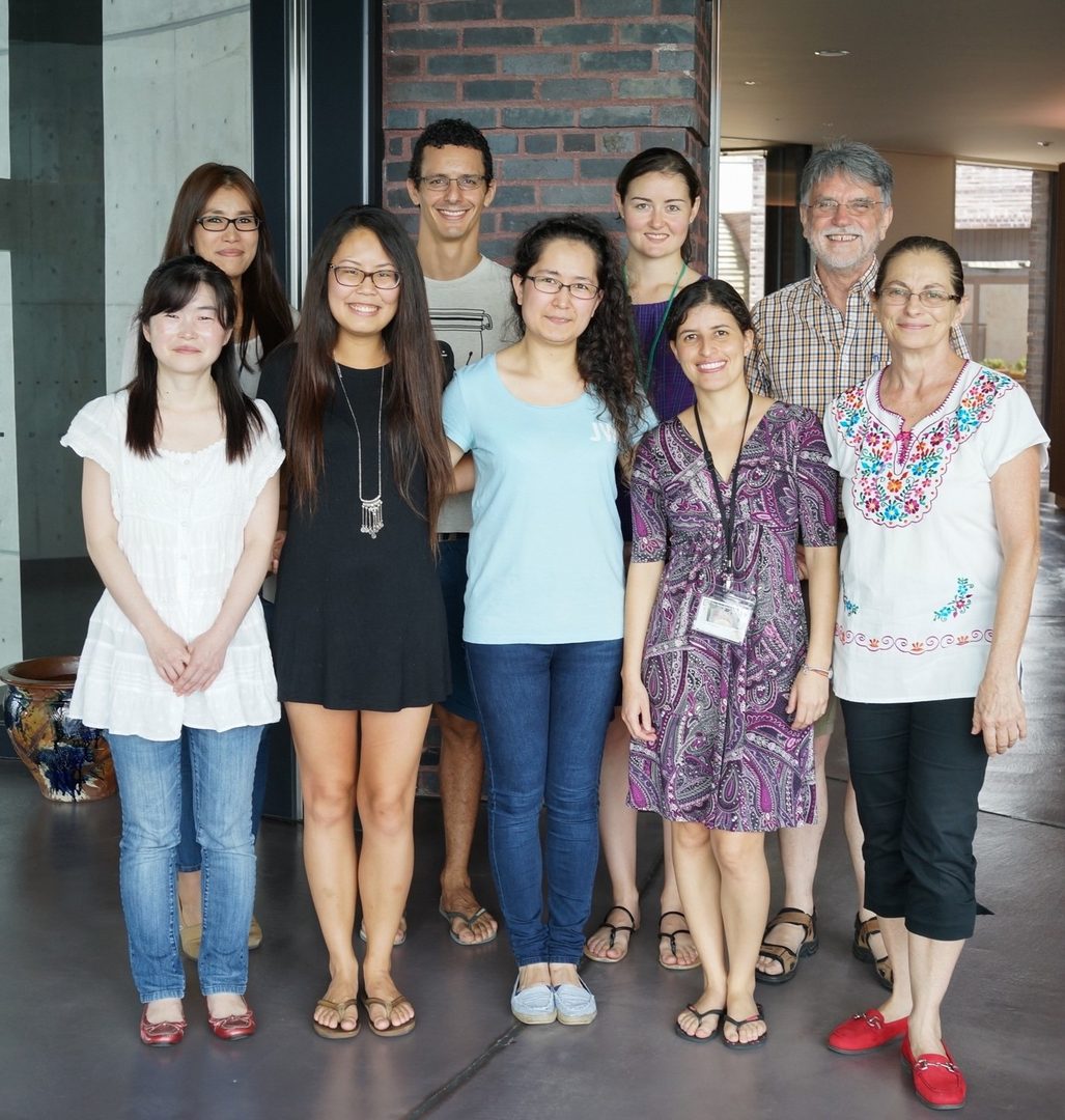 bmbu FY2015 Annual Report | Okinawa Institute of Science and Technology ...