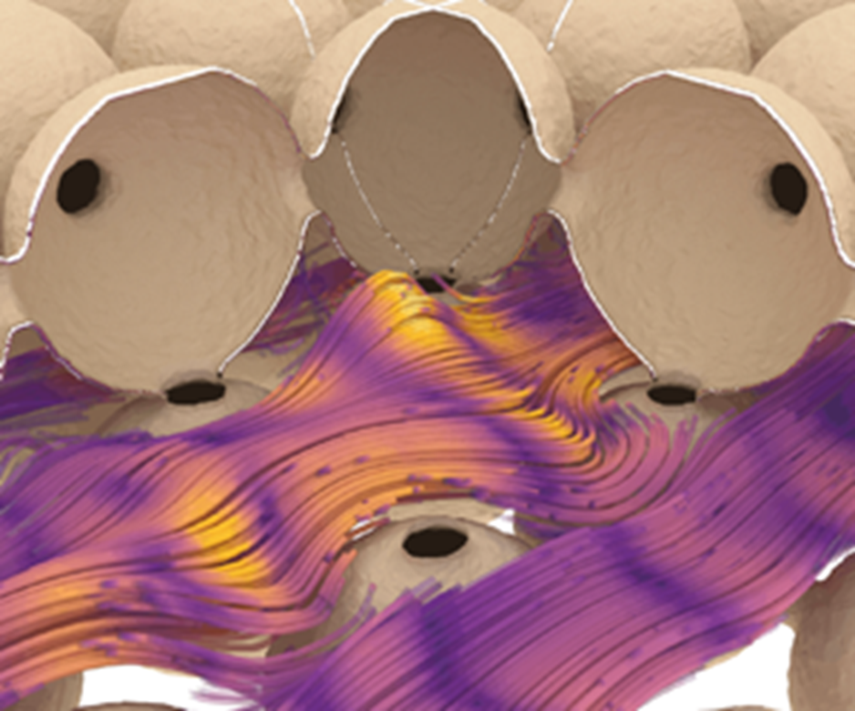 mbnu_F4 | Okinawa Institute of Science and Technology OIST