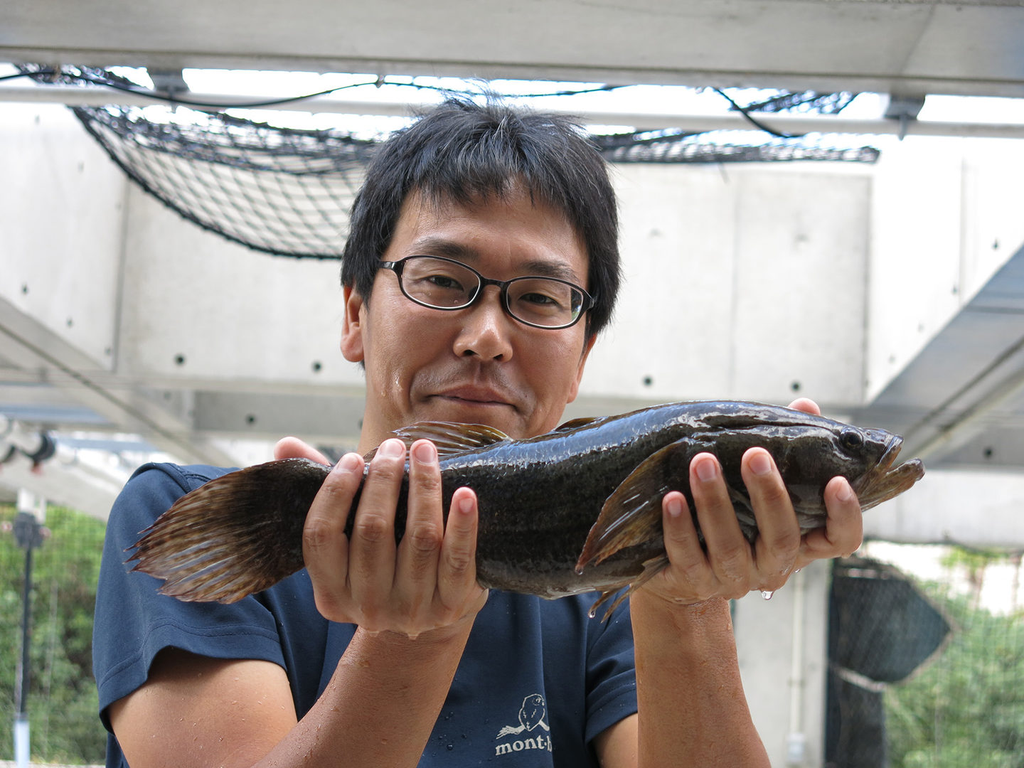 meedu Members Dr. Ken Maeda | Okinawa Institute of Science and ...