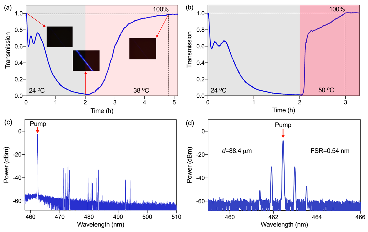 light-fy22_figure_2 | Okinawa Institute of Science and Technology OIST
