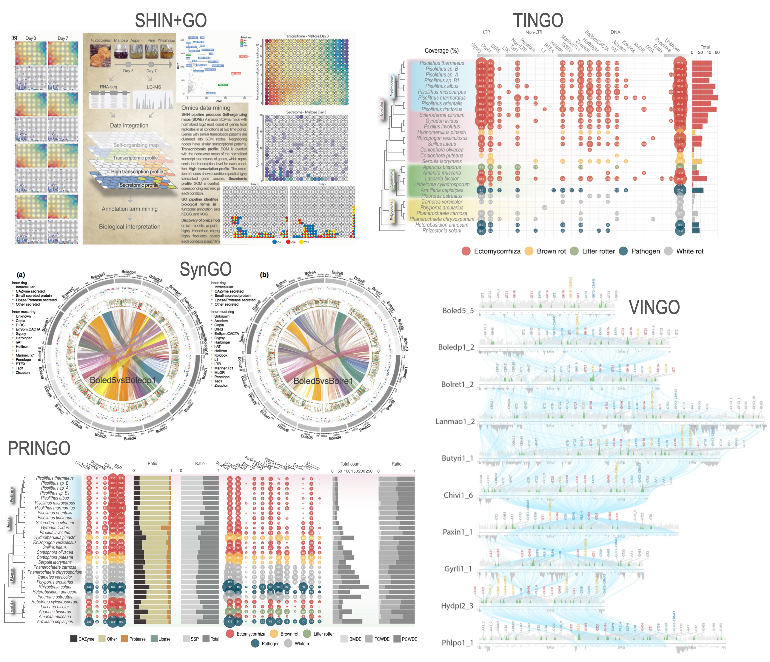 Visual Omics Tools | Okinawa Institute of Science and Technology OIST