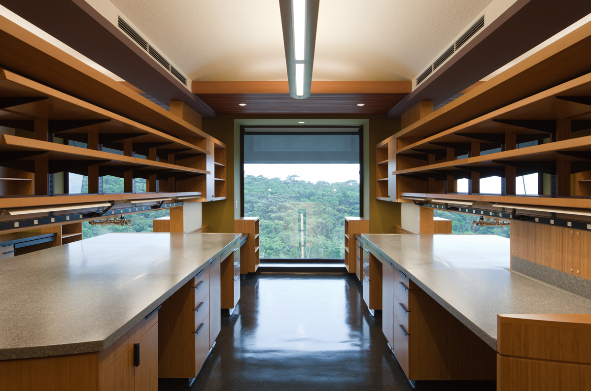 MolBioEng_news_empty_lab | Okinawa Institute of Science and Technology OIST