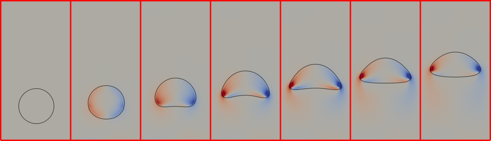 cff_Fujin_VOF_buoyancyDrivenFlow_visualization | Okinawa Institute of ...