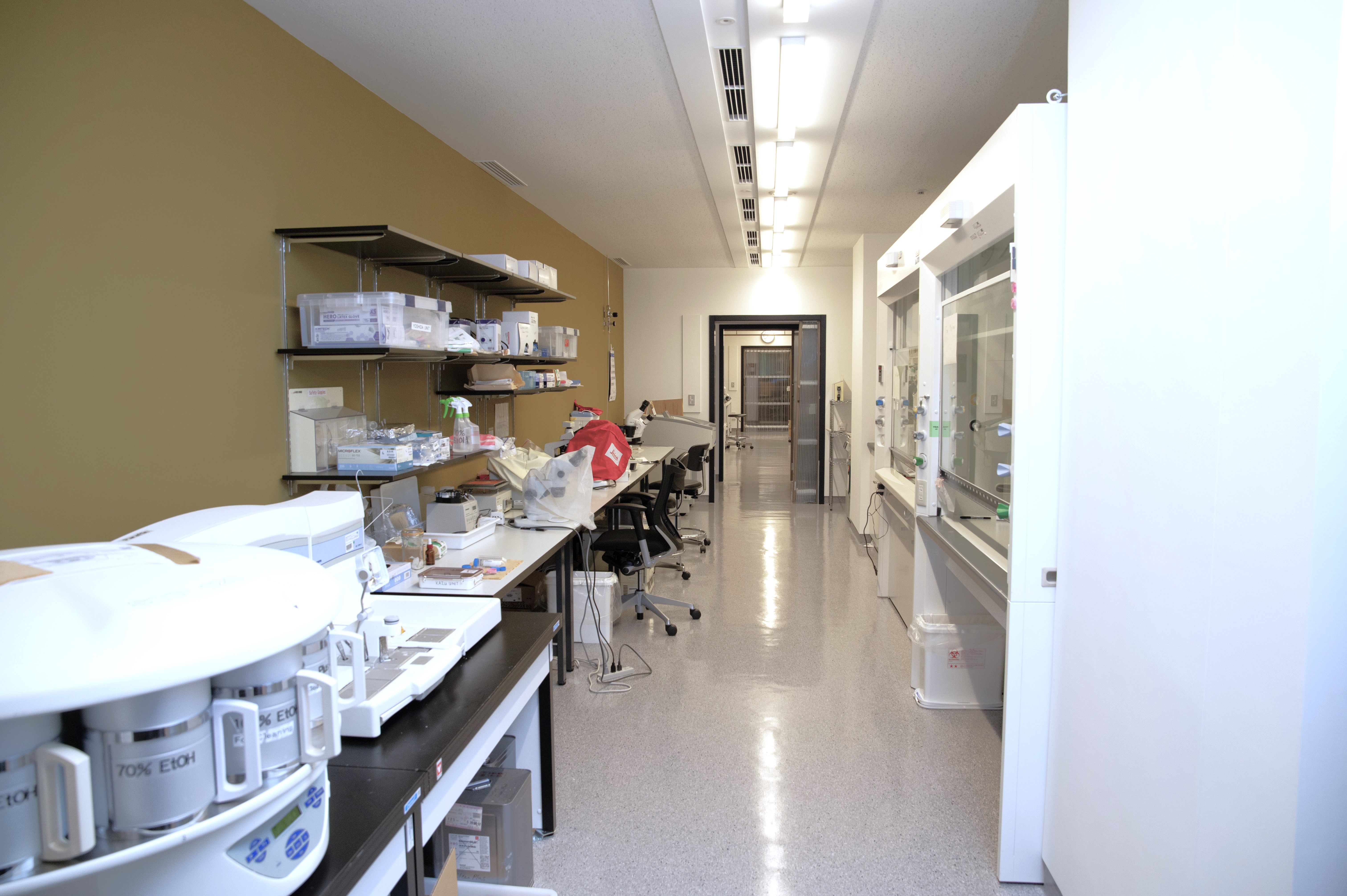 CF-BLSS_Histology Room L4F70 | Okinawa Institute of Science and ...