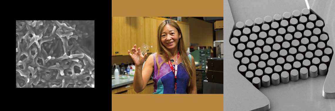 micropost home.jpg | Okinawa Institute of Science and Technology OIST