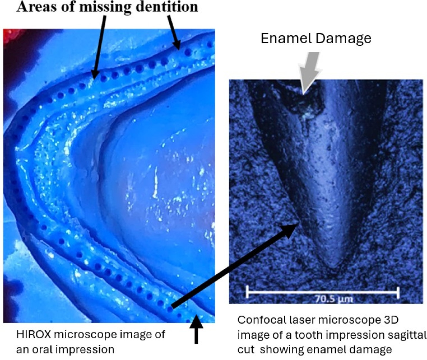 Ray Sallan, DDS | Okinawa Institute of Science and Technology OIST