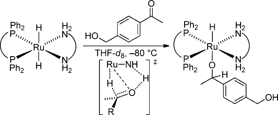 Publications | Okinawa Institute of Science and Technology OIST