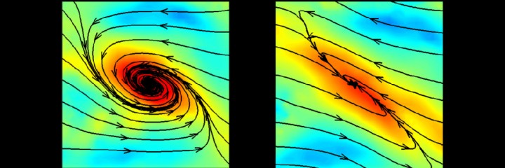 20171127-taming-80.jpg | Okinawa Institute of Science and Technology OIST