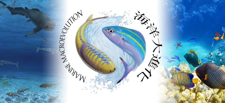 Marine Macroevolution Banner | Okinawa Institute of Science and ...