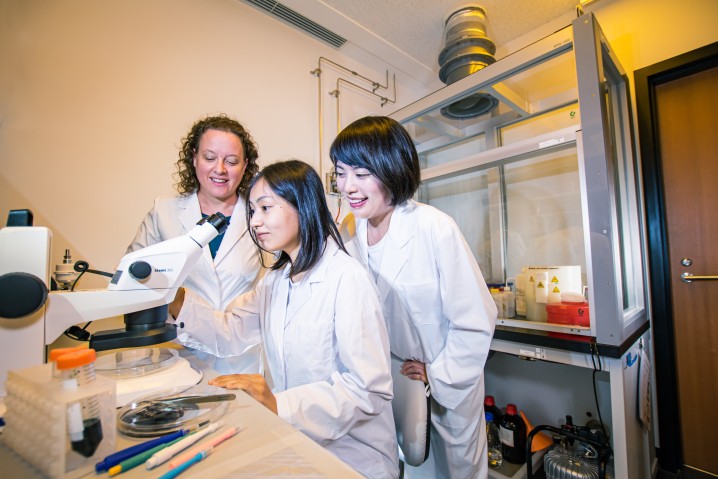 Researches around a microscope | Okinawa Institute of Science and Technology OIST