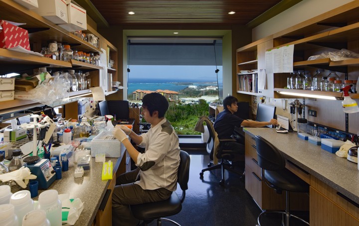 Lab 2 lab | Okinawa Institute of Science and Technology OIST