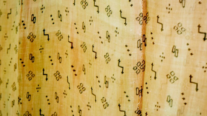 Column: To Save Okinawa's Bashofu - Scientists Move Forward to a ...