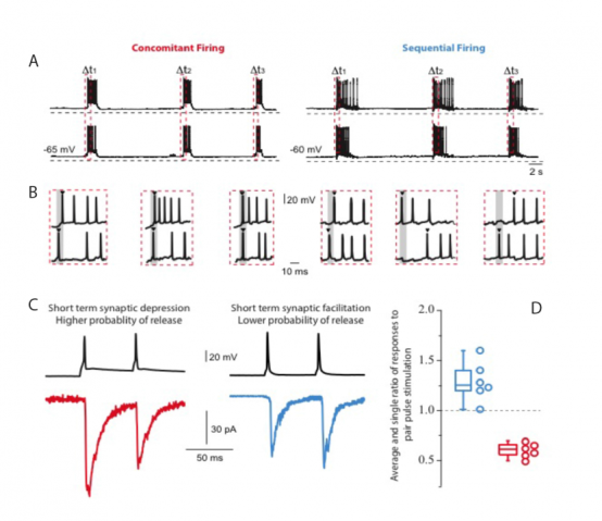 bmbu FY2012 Annual Report | Okinawa Institute of Science and Technology ...