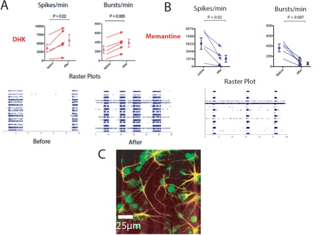bmbu FY2013 Annual Report | Okinawa Institute of Science and Technology ...