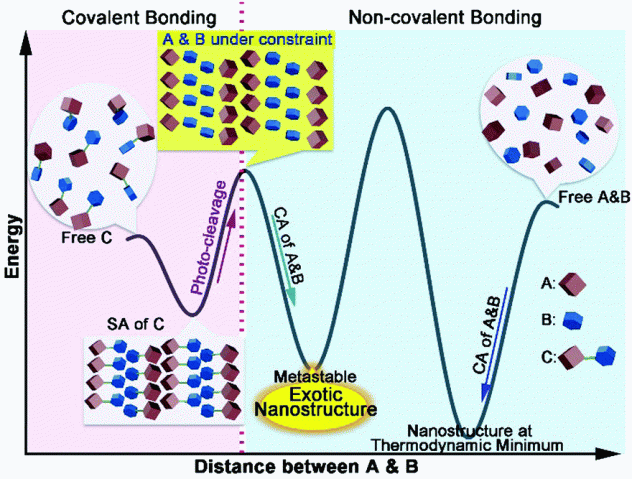 bsmu FY2016 Annual Report 02 | Okinawa Institute of Science and ...