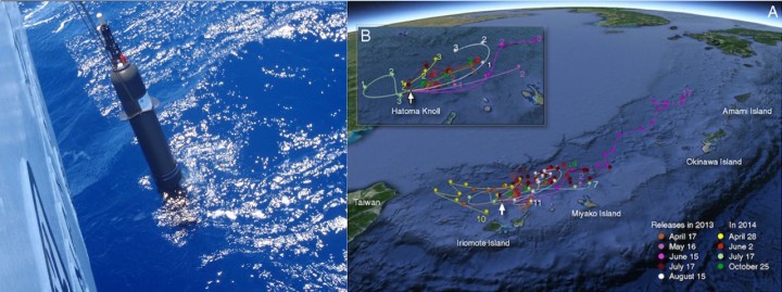 mbu Hydrothermal Vents 02 | Okinawa Institute of Science and Technology ...