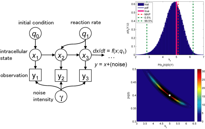 Dynamical Systems Group | Okinawa Institute of Science and Technology OIST