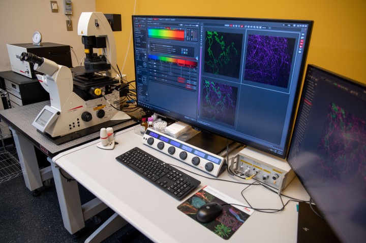CF-IMG-light-microscope | Okinawa Institute of Science and Technology OIST