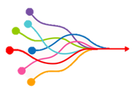 oi_ac_bioconvergence | Okinawa Institute of Science and Technology OIST