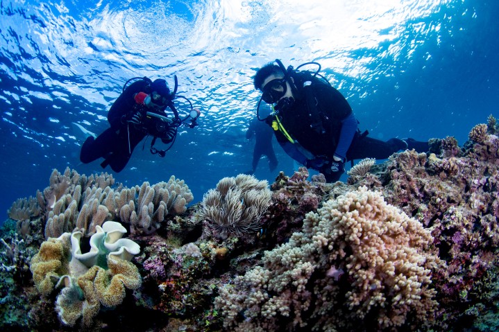 Climate Change Unit Blue Carbon Project | Okinawa Institute of Science ...