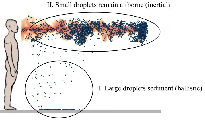 Diagram of droplets | Okinawa Institute of Science and Technology OIST