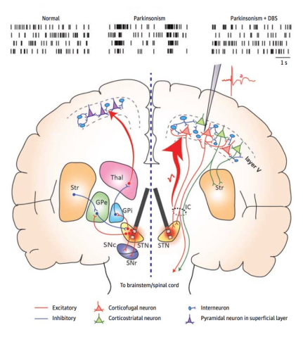 bmbu FY2016 Annual Report | Okinawa Institute of Science and Technology ...