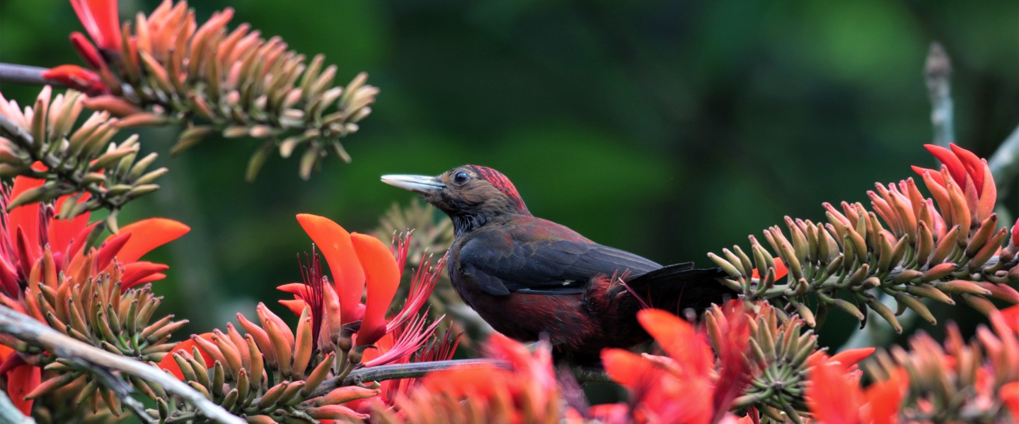 Events | Okinawa Institute of Science and Technology OIST