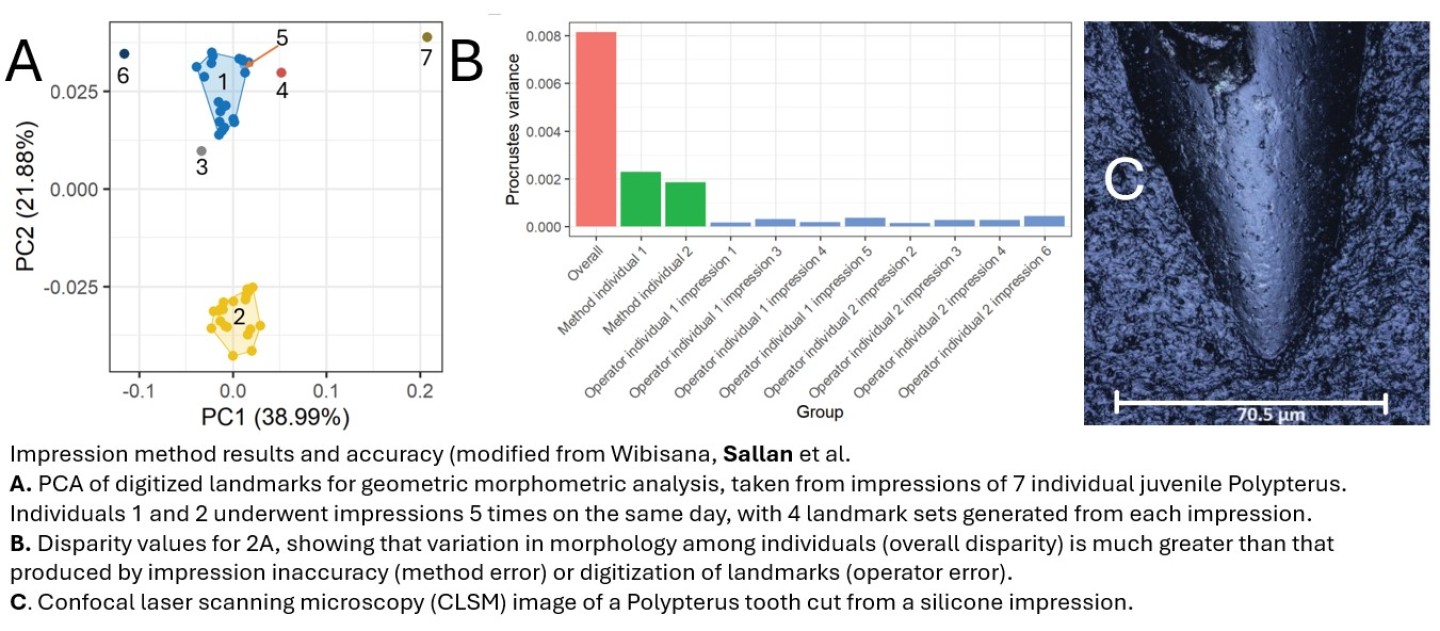 Ray Sallan, DDS | Okinawa Institute of Science and Technology OIST