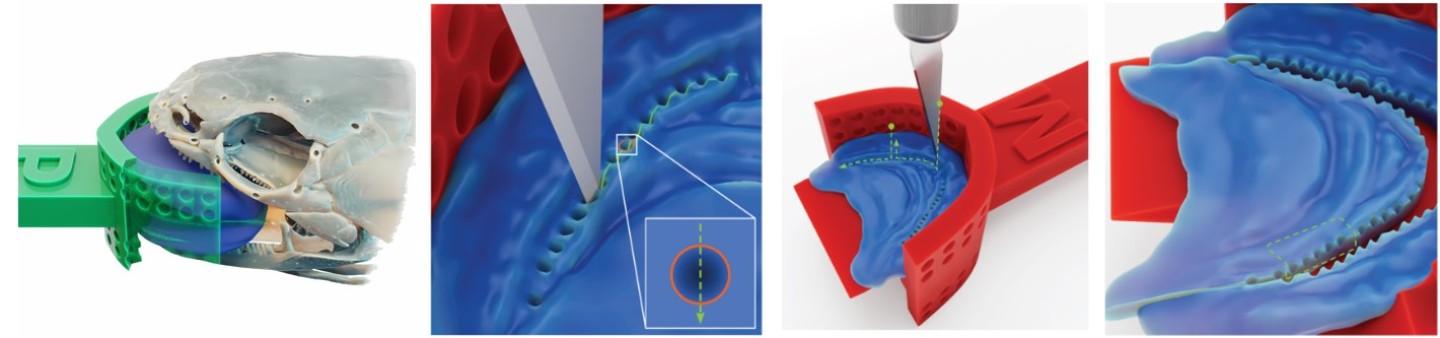 Ray Sallan, DDS | Okinawa Institute of Science and Technology OIST