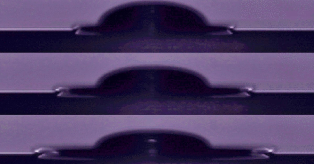 2016-06-14-HPI-Droplet-Hats-Purple.jpg | Okinawa Institute of Science ...