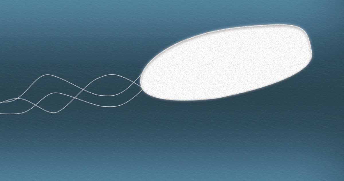 Sabotaging Bacteria Propellers to Stop Infections | Okinawa Institute ...