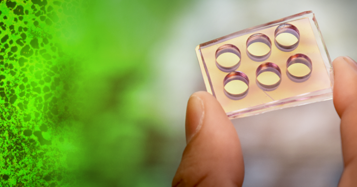 Chips, Light and Coding Moves the Front Line in Beating Bacteria ...