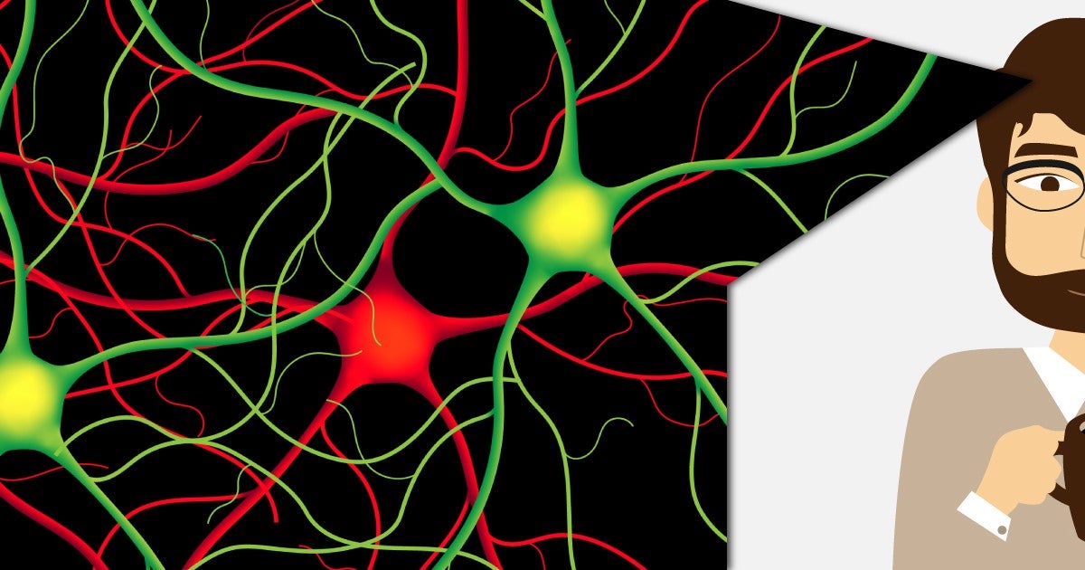 Different types of neurons interact to make reaching-and-grasping tasks ...