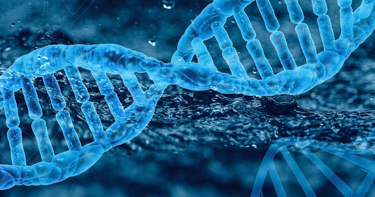 DNAが接着剤に： DNAの力により自力で組織化するゲルブロックを作製 | 沖縄科学技術大学院大学（OIST）