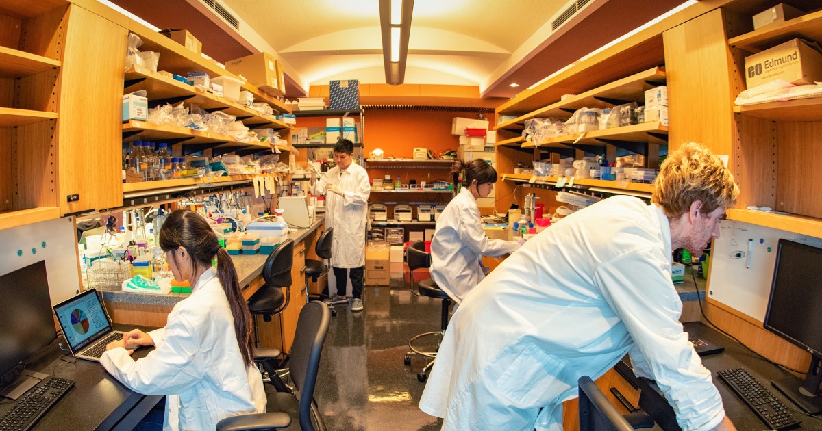 Research Units at OIST | Okinawa Institute of Science and Technology OIST