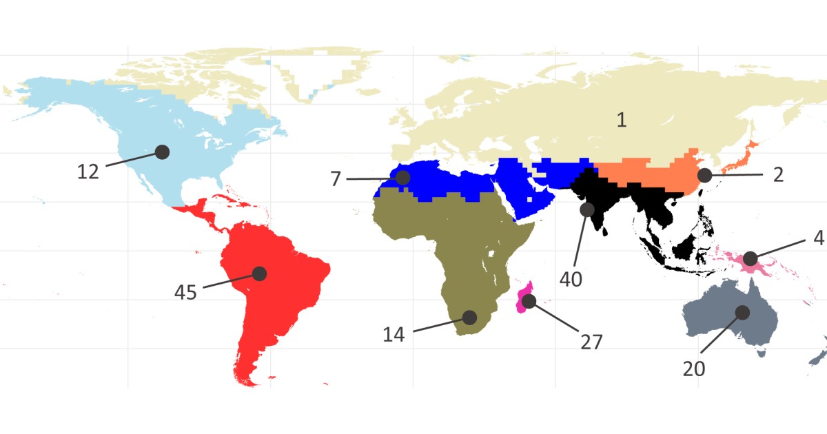 The researchers collected samples of drywood termites from around the ...