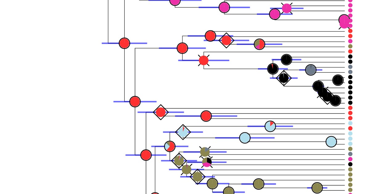 By comparing the mitochondrial genomes of 120 species of drywood ...