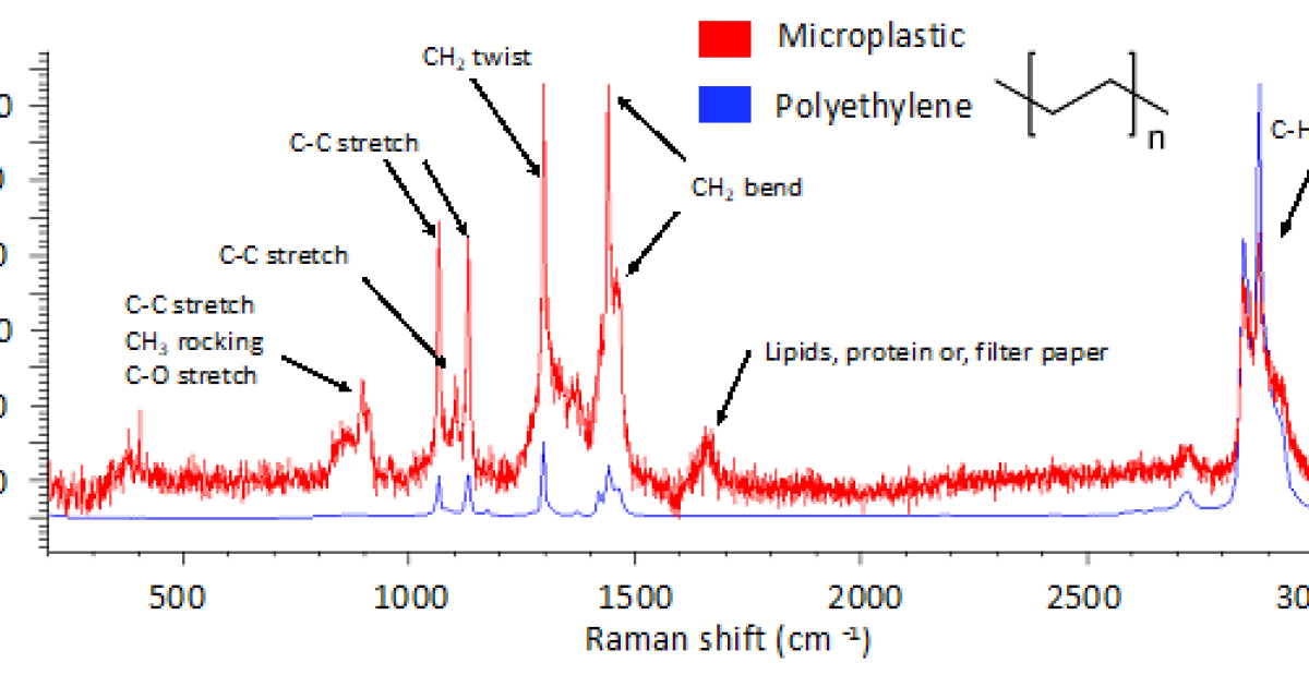 ラマンスペクトル「分子の指紋」 | 沖縄科学技術大学院大学（OIST）