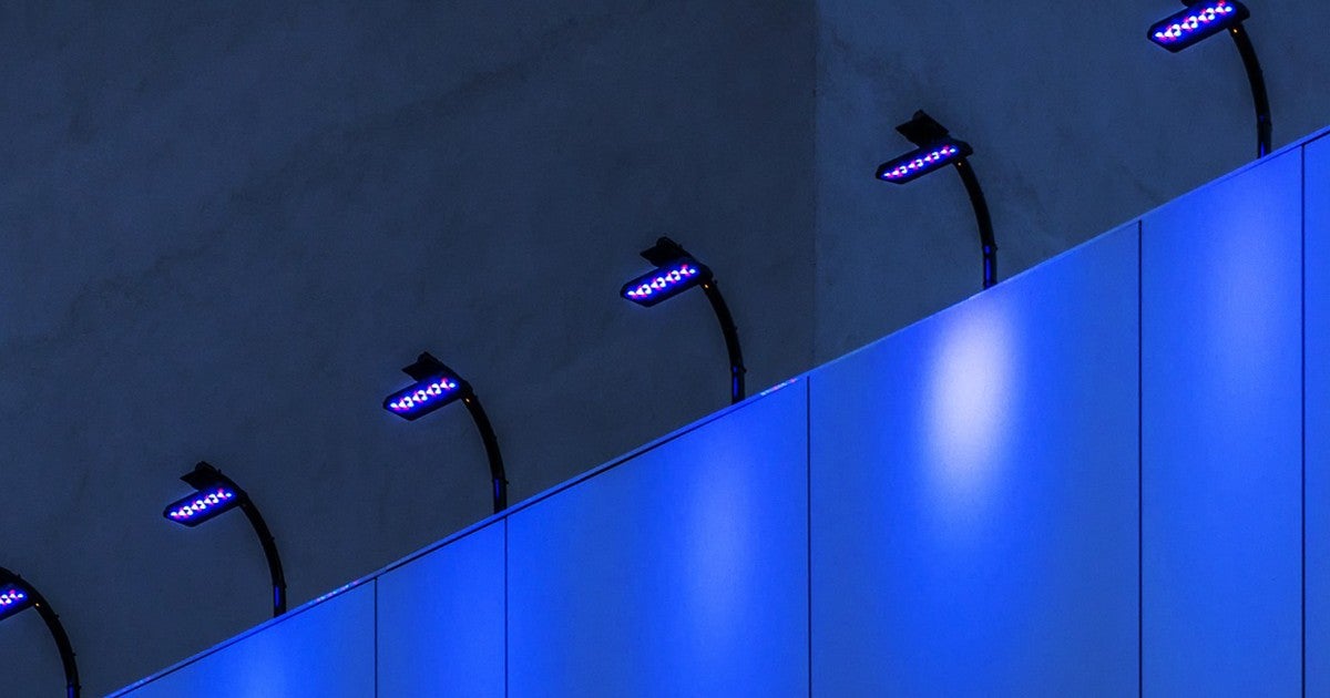 Asymmetry is key to creating more stable blue perovskite LEDs | Mirage News