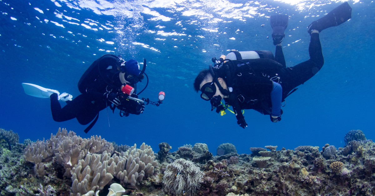 Marine Climate Change Unit | Okinawa Institute of Science and ...