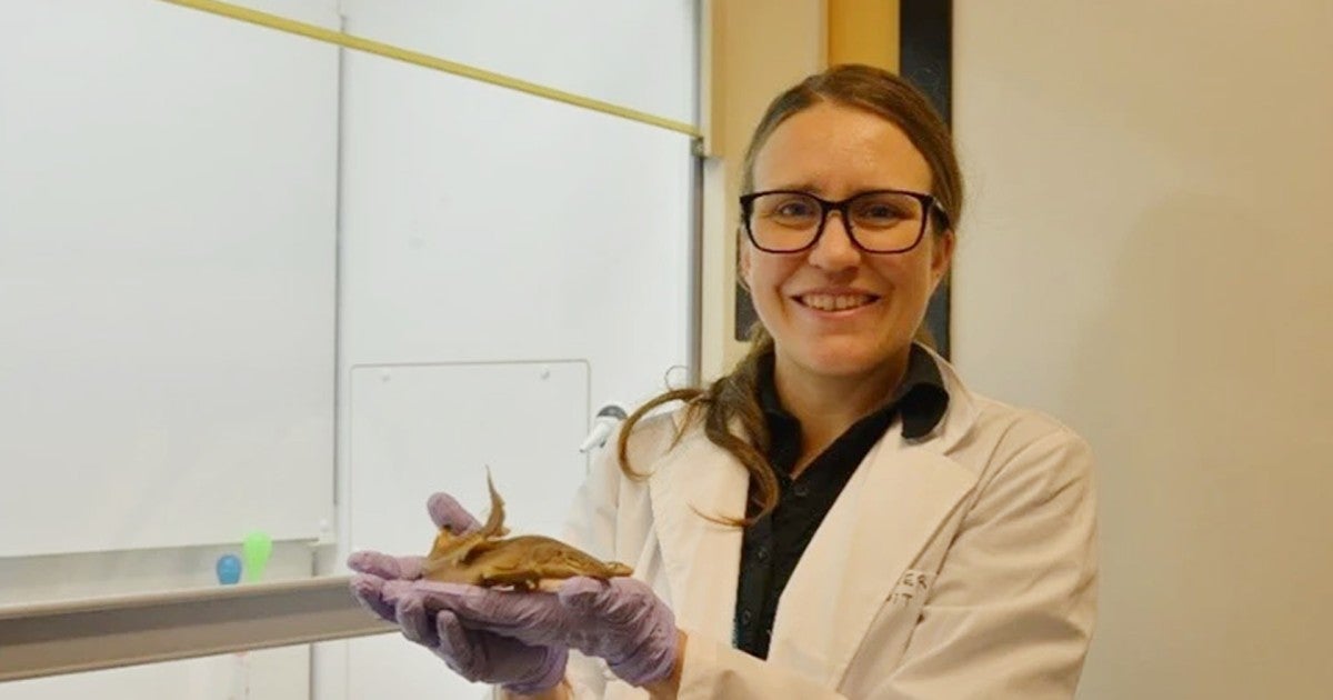 In deep water: combatting the extinction of sharks | Okinawa Institute ...