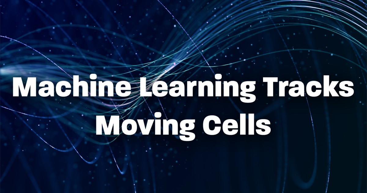Machine Learning Tracks Moving Cells | Okinawa Institute of Science and ...