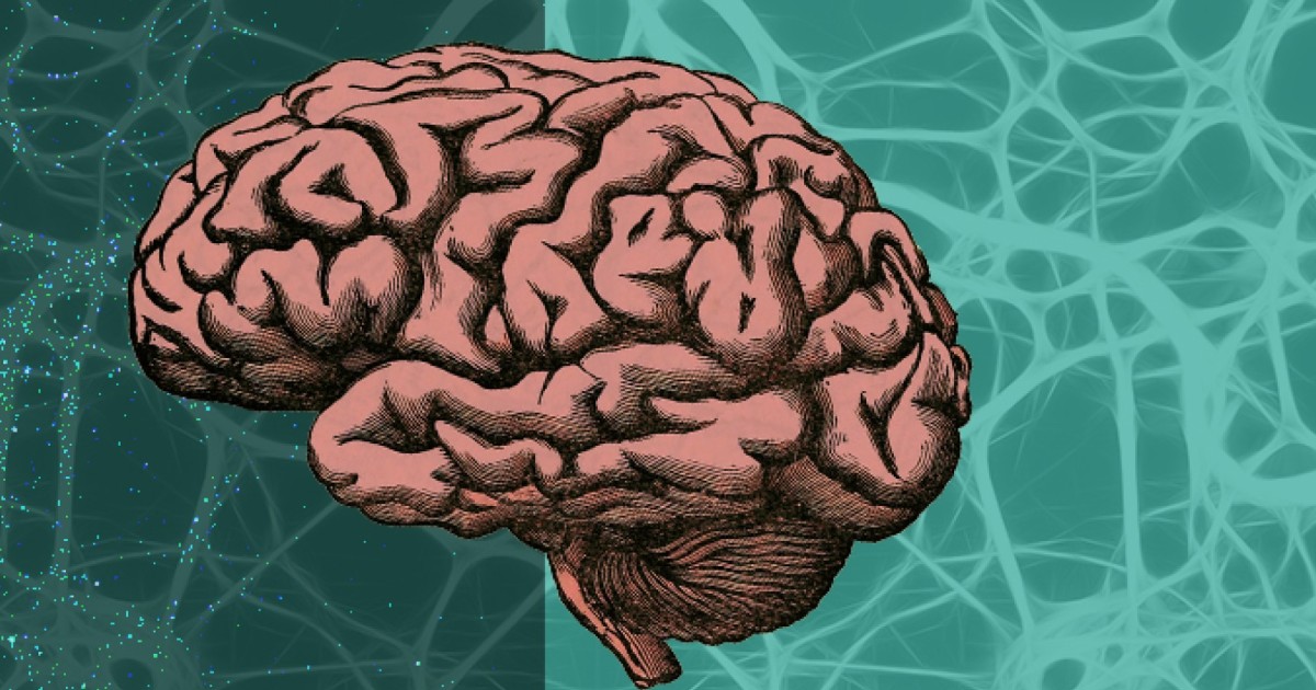 Mouse Model of Parkinson's in the News | Okinawa Institute of Science ...