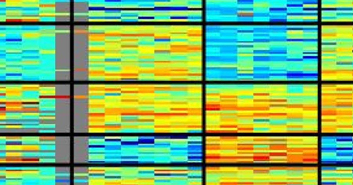 New Study on Depression by scientists from OIST's Neural Computational ...