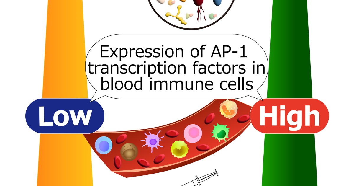 Fucose digestion by gut bacteria lowers T-cell immune response ...