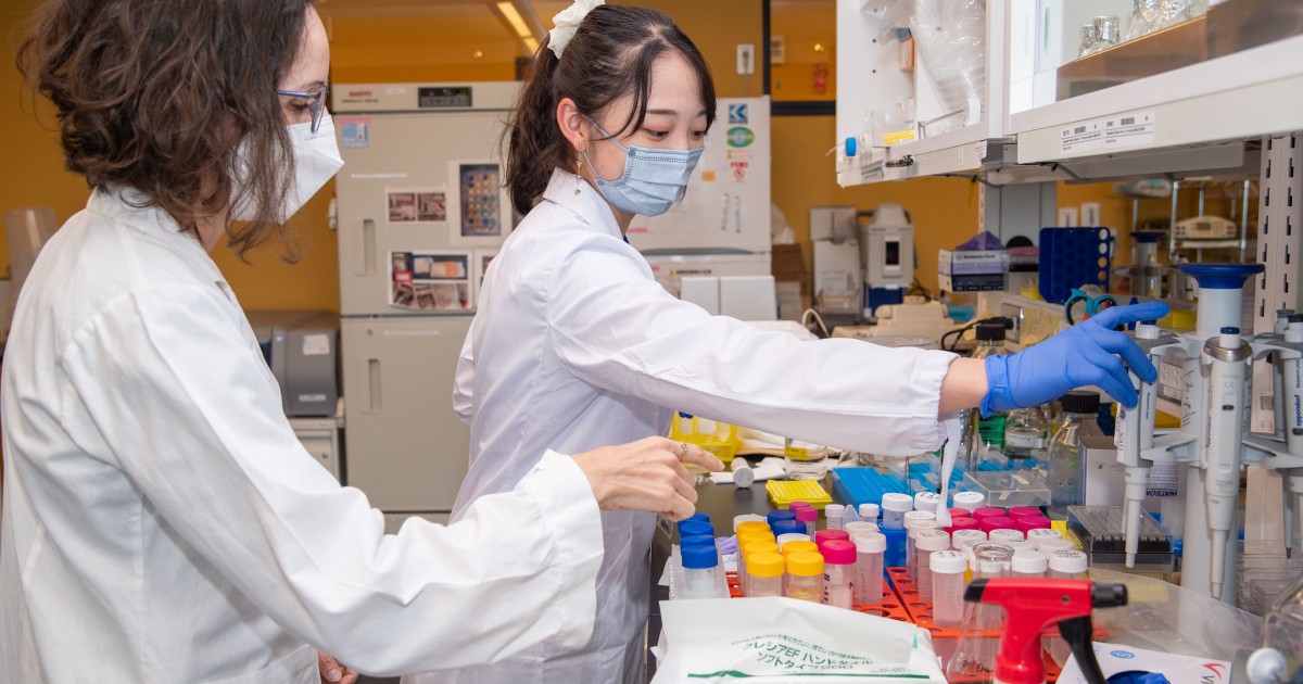 OIST-Keio Summer Camp - Hands-on Session in Laurino Unit | Okinawa Institute of Science and ...