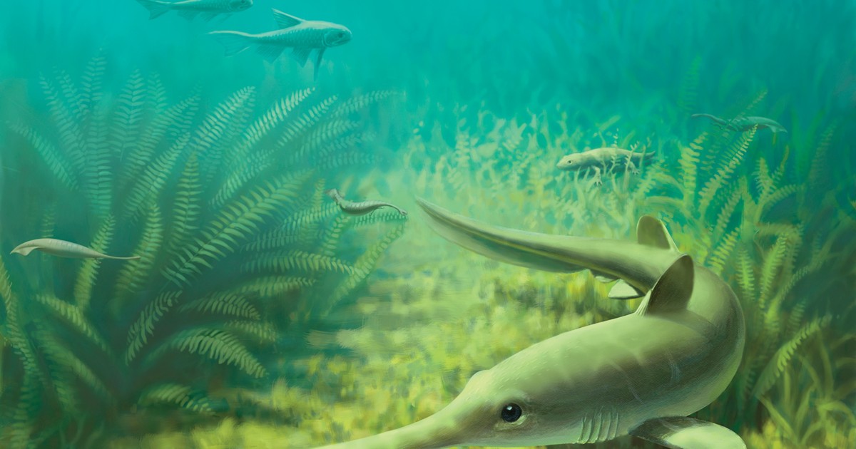 IS23-A 310 Million Year Old River Delta | Okinawa Institute of Science ...