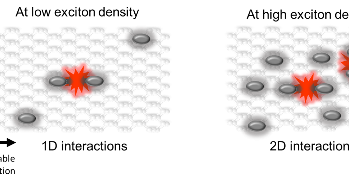 Exciton interactions at low and high density | Okinawa Institute of ...